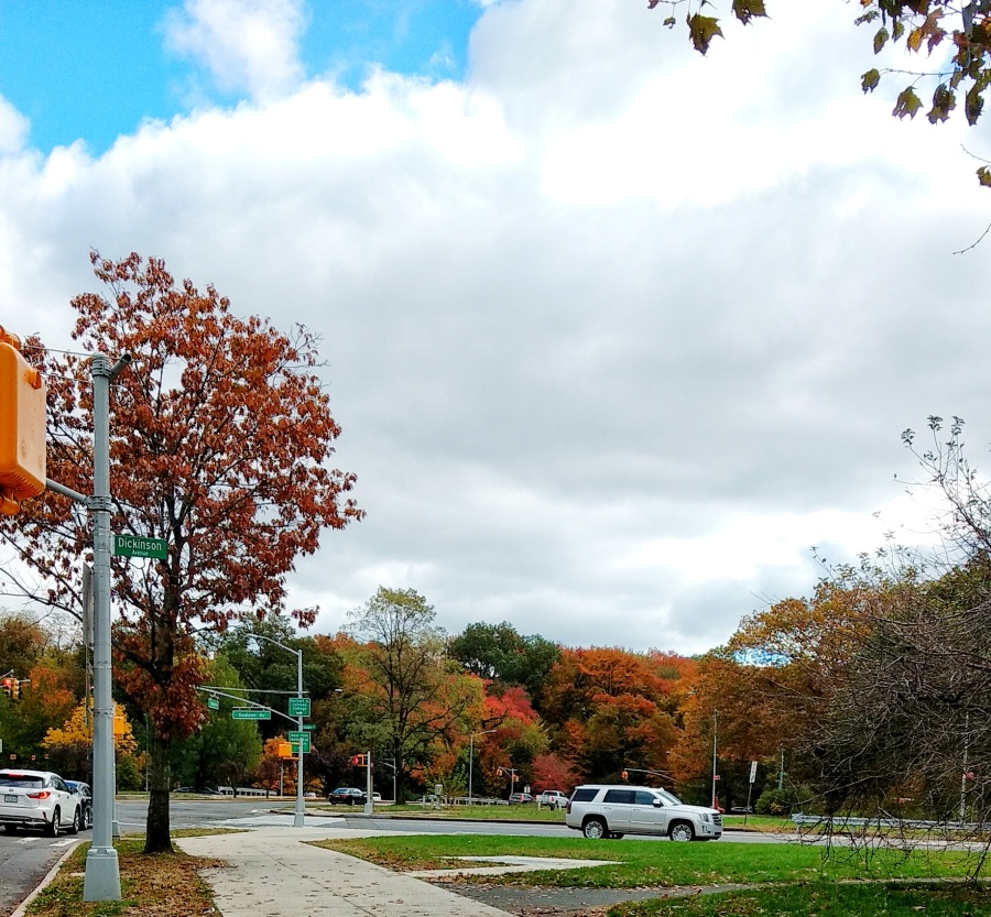 BronxPaperLover: Photos of the NW Bronx