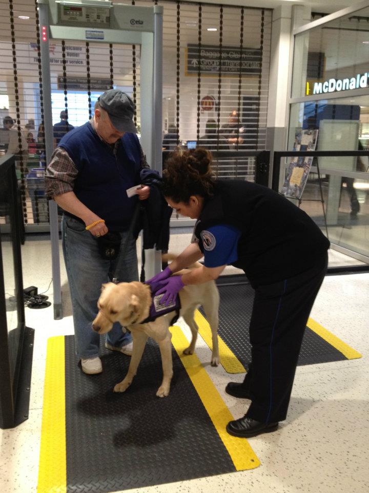 Susquehanna Service Dogs: Service Puppies at the Airport