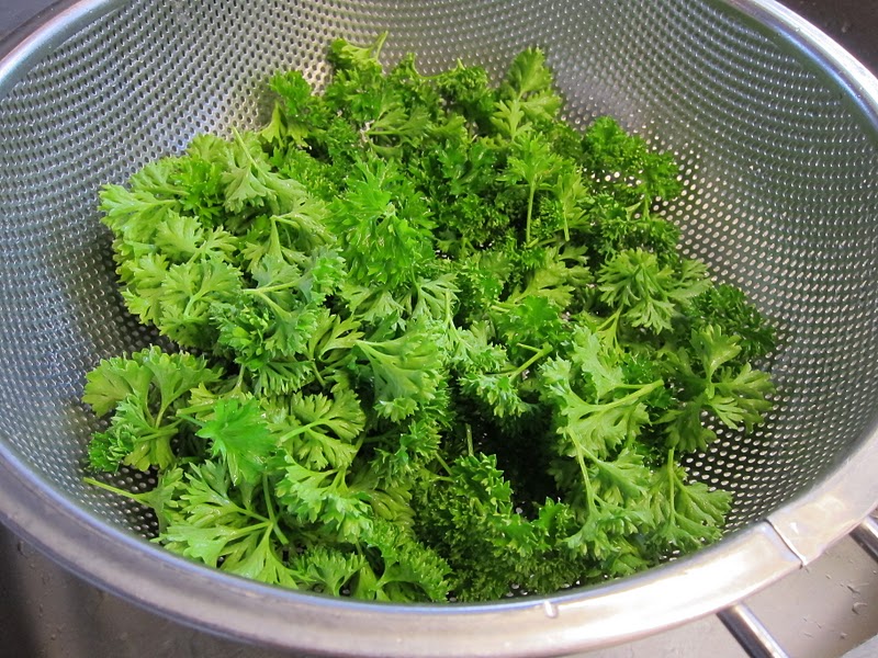 Min Goda Sida: Frysa in persilja