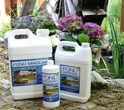 The Organic Pond Cleaner - Pond Magician: Keeping Ponds Clean with ...