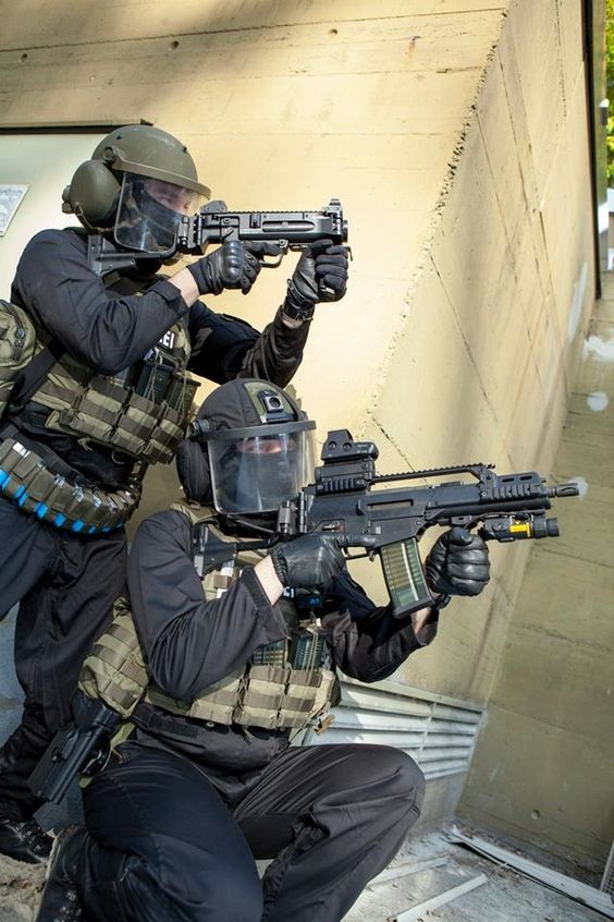 Gsg9 1/87 Unité spéciale: GSG9 - Grenzschutzgruppe 9