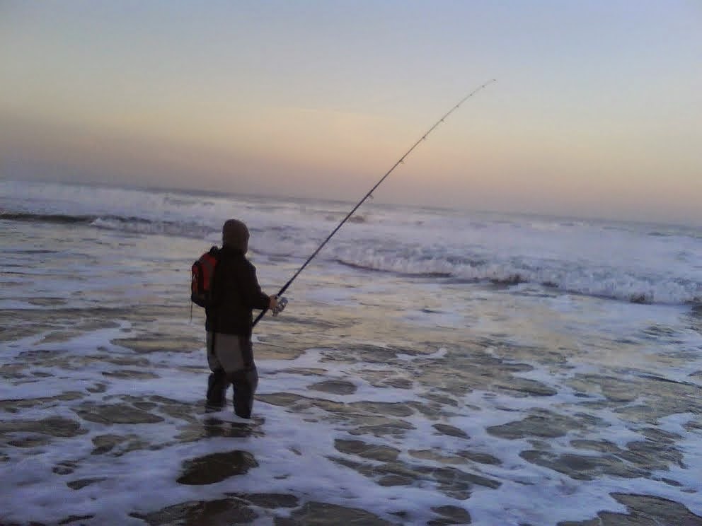 O prazer da pesca: Para quem se quer iniciar na pesca ao Achigã da margem