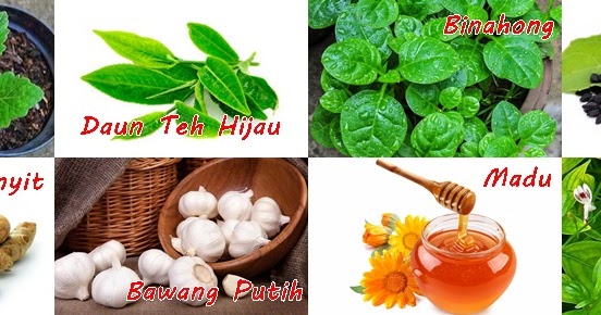 8 Cara Alternatif Mengobati Herpes Atau Dompo - Obat Penyakit Dompo ...