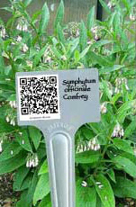 Juniper Hill: Keeping Up With The Pace Of Technology: QR Codes