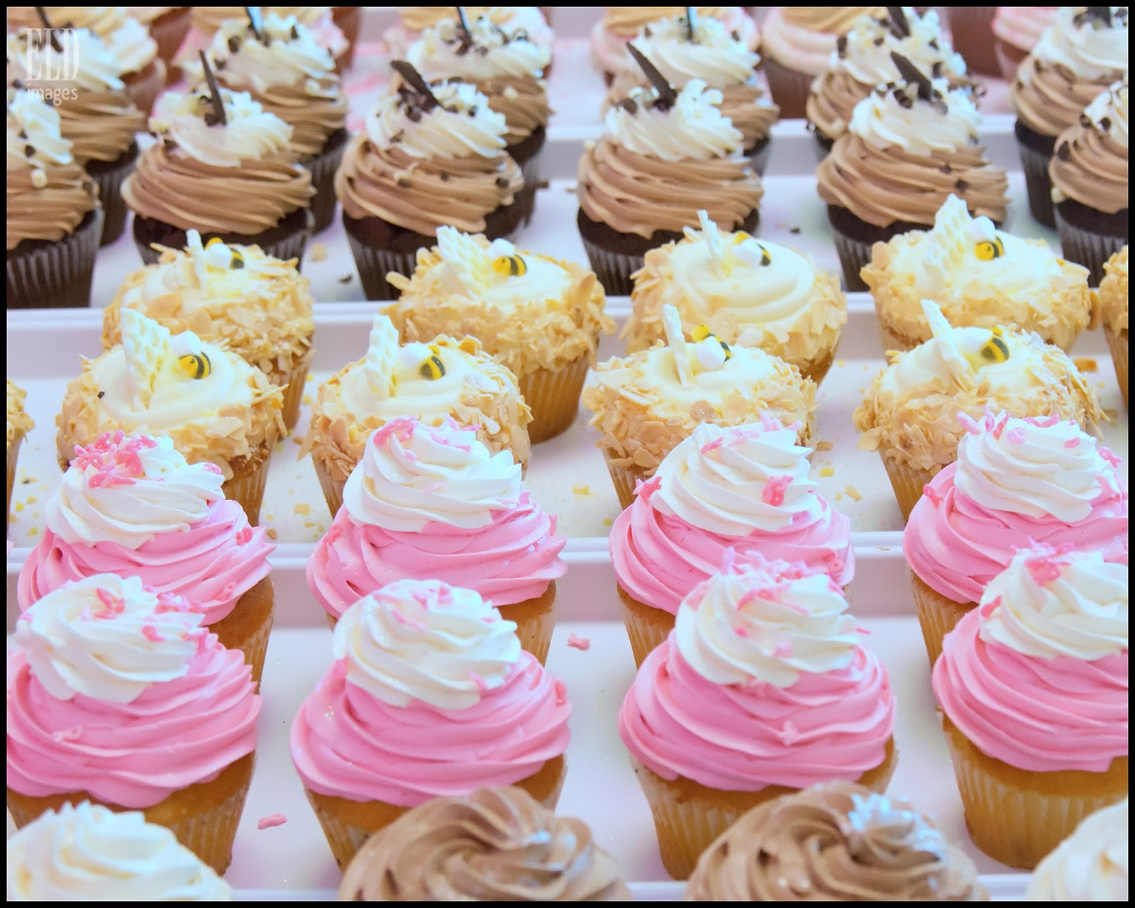 Review Jillys Cupcake Bar And Cafe