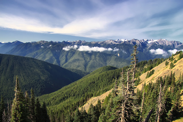 Loving Washington State: Hurricane Ridge in Olympic National Park