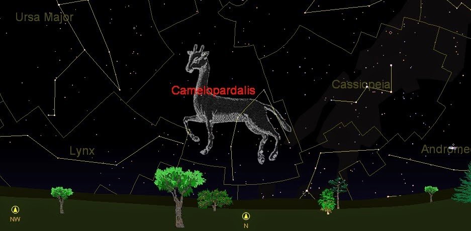 Bodzash Photography and Astronomy: What is a Camelopardalis (Besides a ...