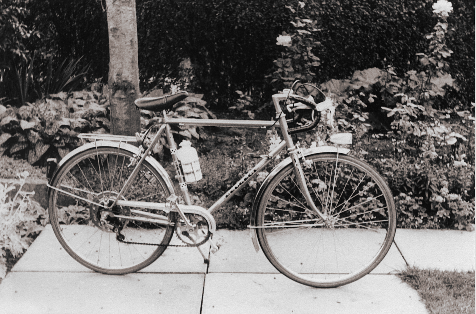 Not a Potato Waffle: The First Post