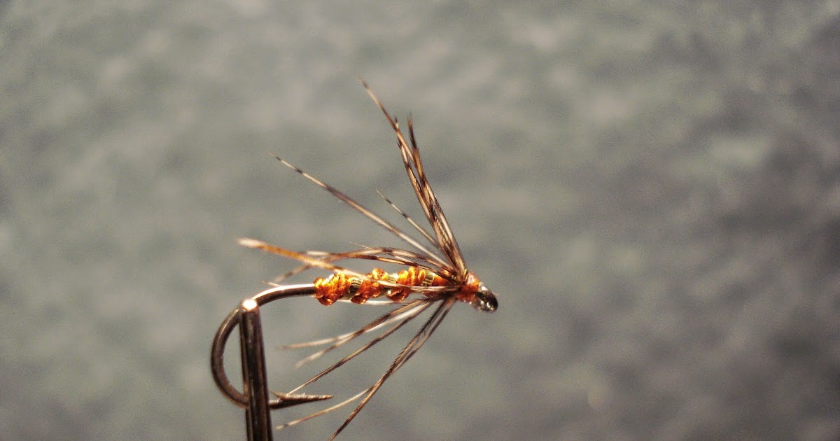 SOFT HACKLES, TIGHT LINES: Orange Partridge