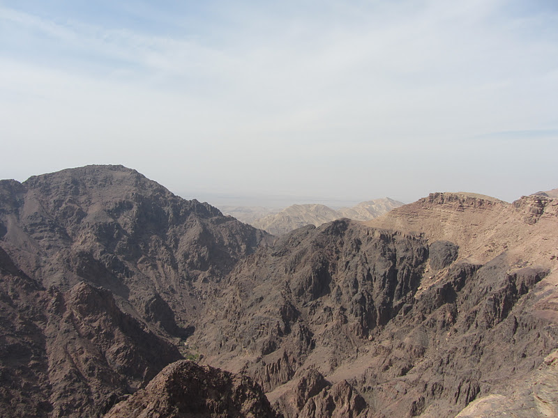 Huntsmans in the Holy Land: Jordan, Fall 2011