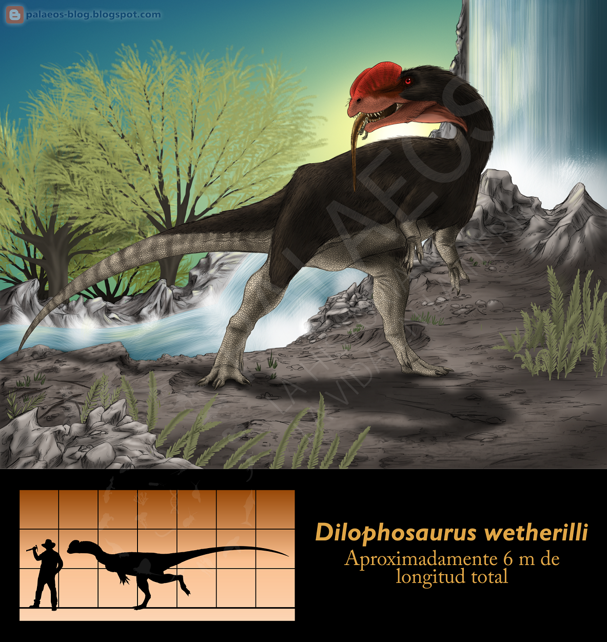 Palaeos, la historia de la Vida en la Tierra: Paleoficha: Dilophosaurus ...