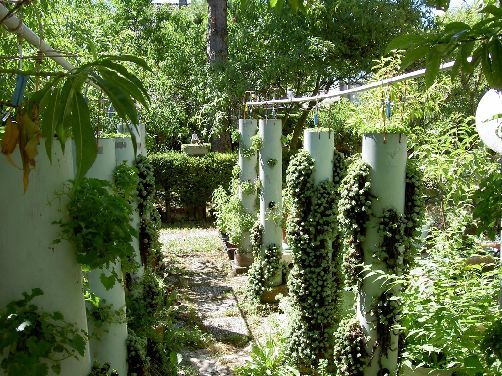 Đào Hoa: MOBILE VERTICAL PVC PIPE FLOWER GARDENS