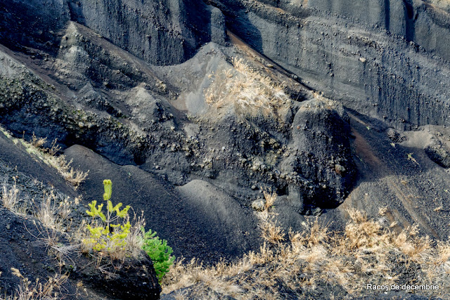 Poveştile mele: Racos, coltul cu nestemate: vulcan, coloane de bazalt ...