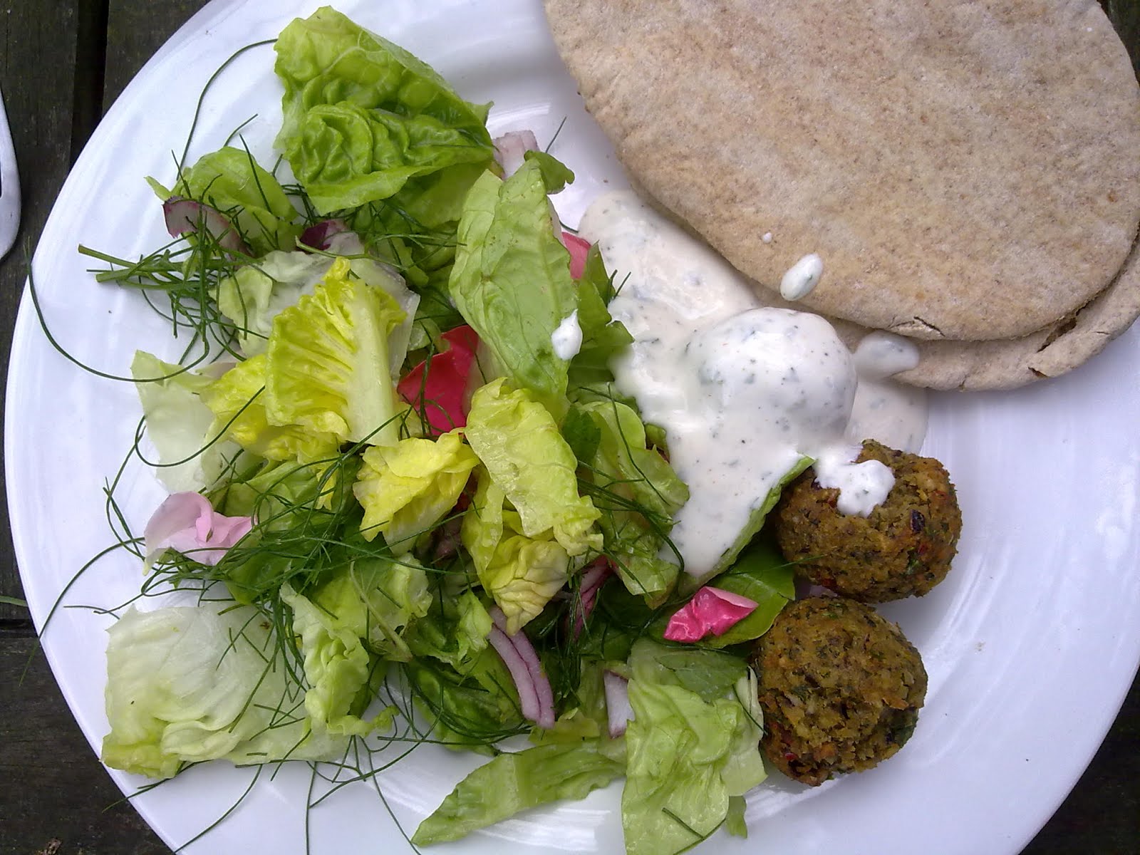 Low Carbon Cookbook - Peak Beans - resilience