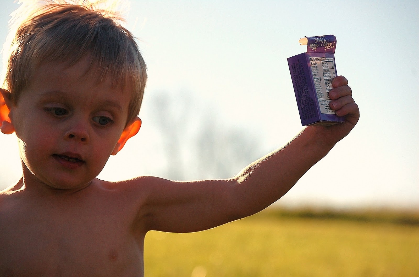 The Buddy Bee Makes Three: Buddy Bee is a 27 Month Bee