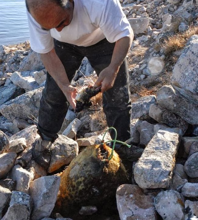 Kiviak, el peor plato que podrías llevarte a la boca