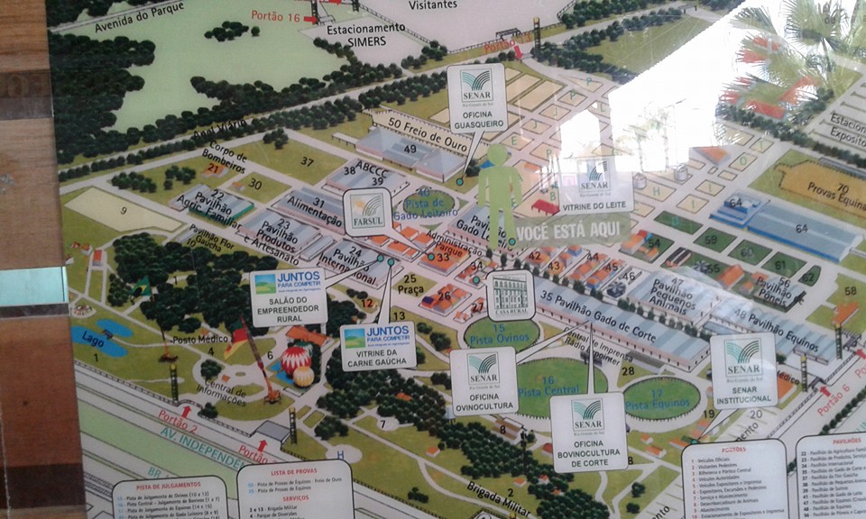 Coordenação Pedagógica: Visitação à Expointer