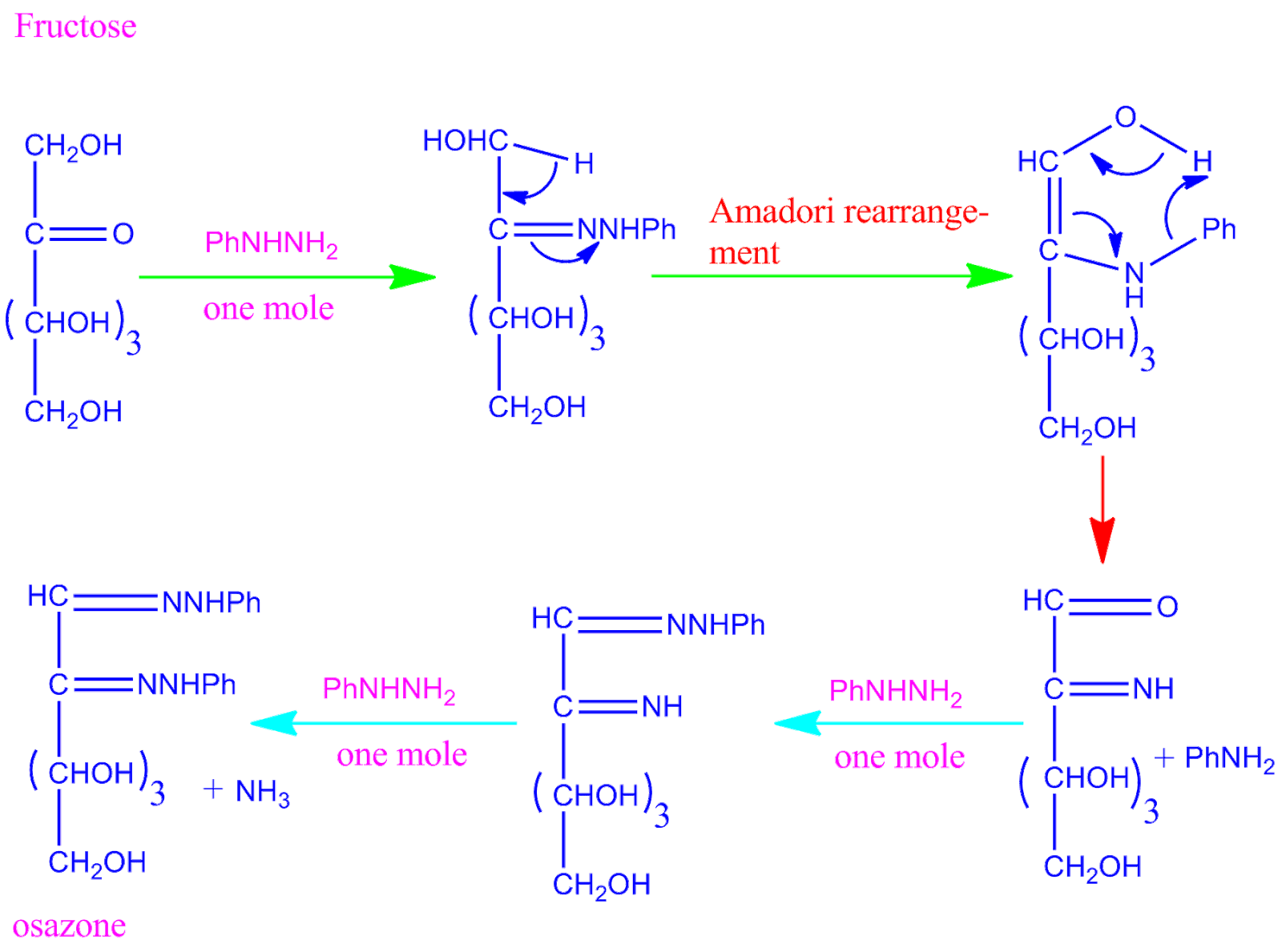 Definition of Amadori rearrangement - PG.CHEMEASY