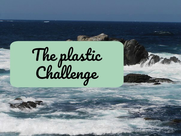 The plastic challenge: How to reduce the plastic in your home | Ana ...