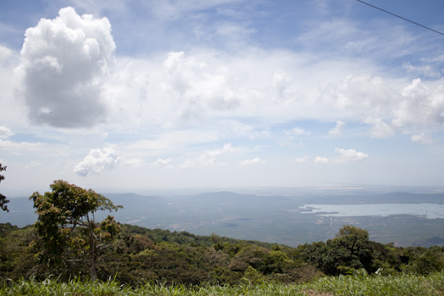 Jóvenes de ochenta años / Semillas de Acacia