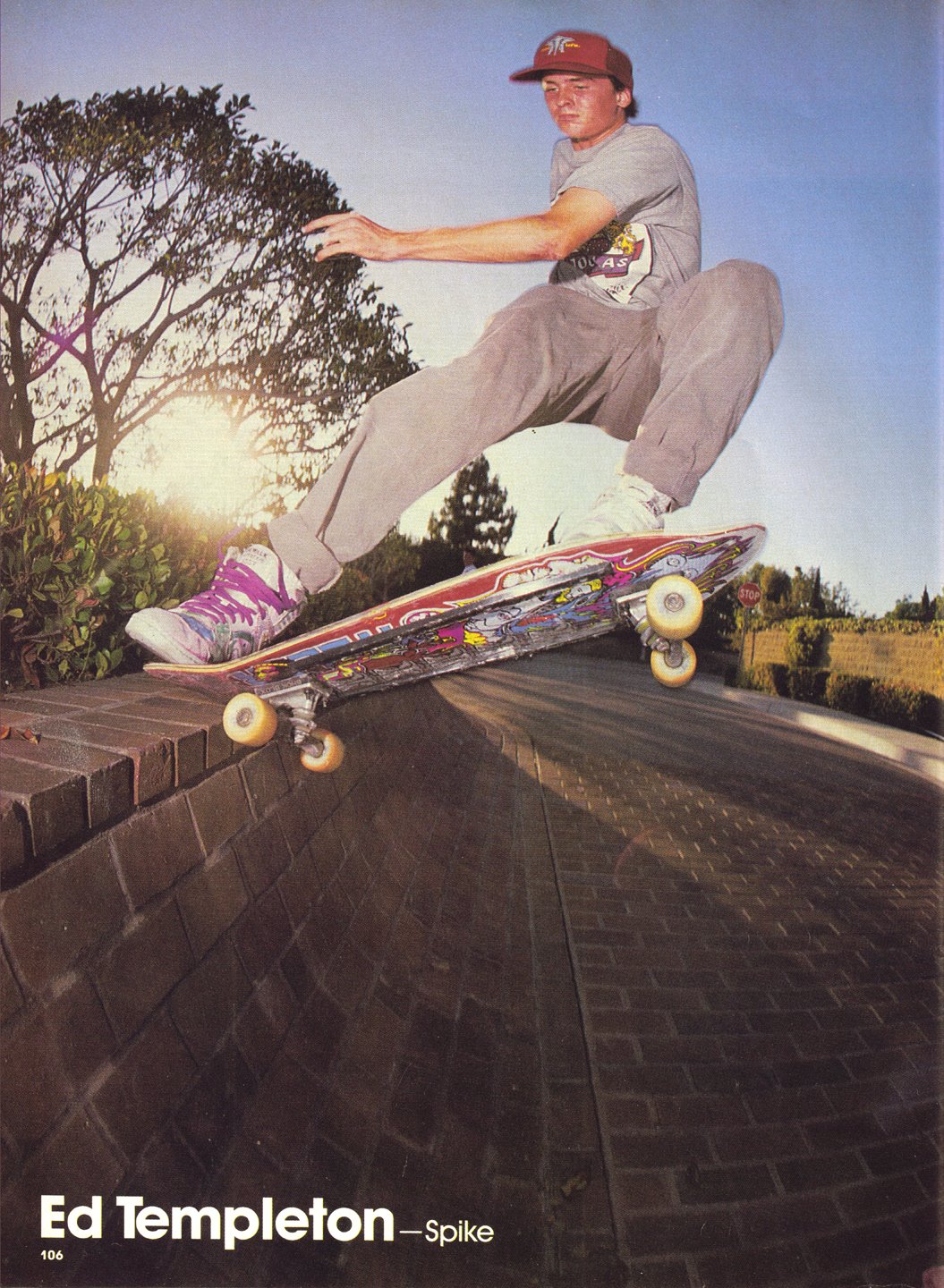 Turtle Boy Ed Templeton