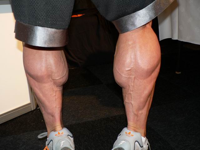 Exercices mollets | 4Musculation