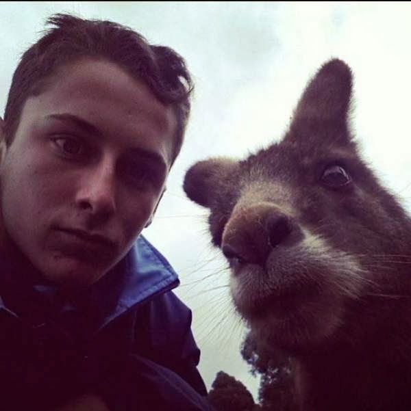 Funny animals taking selfies with humans (35 pics) | Amazing Creatures