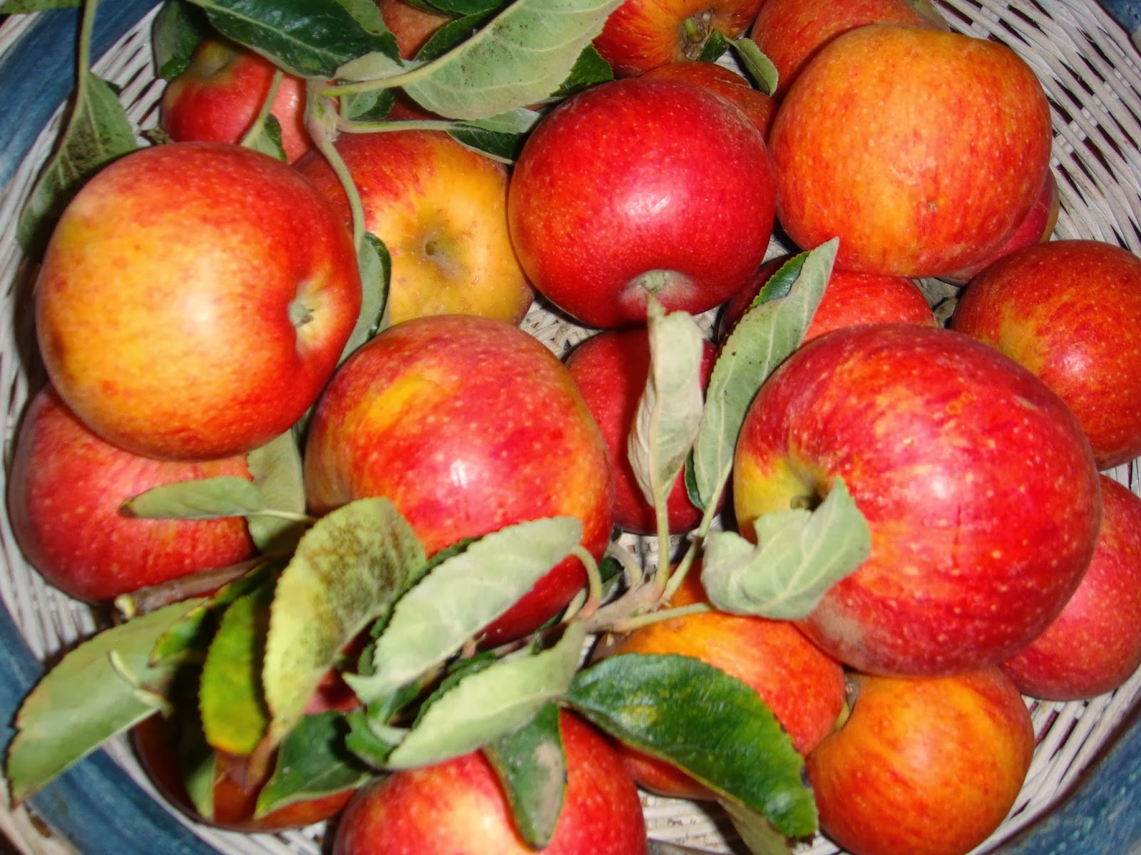 Sopita de la olla: septiembre 2013