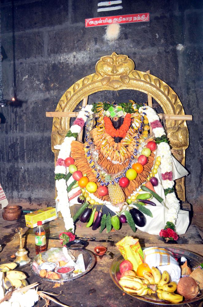 Maatu Pongal 2017 Pongal Festival ARUNACHALA GRACE maatu-pongal-2017-pongal-festival-arunachala-grace
