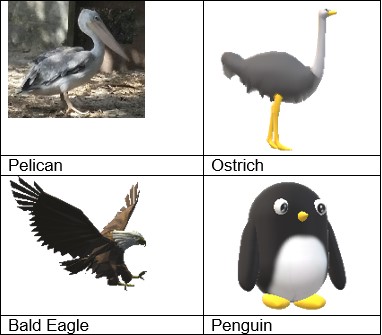 Class-3 Science, Chapter-2 Animals:Birds