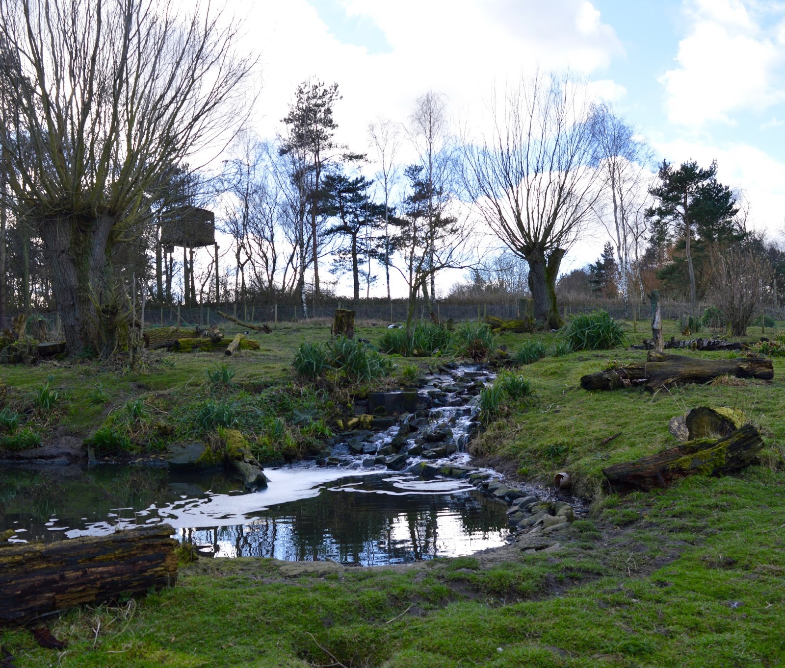 Puddle Jumping at WWT Washington Wetland Centre | A Review | North East ...
