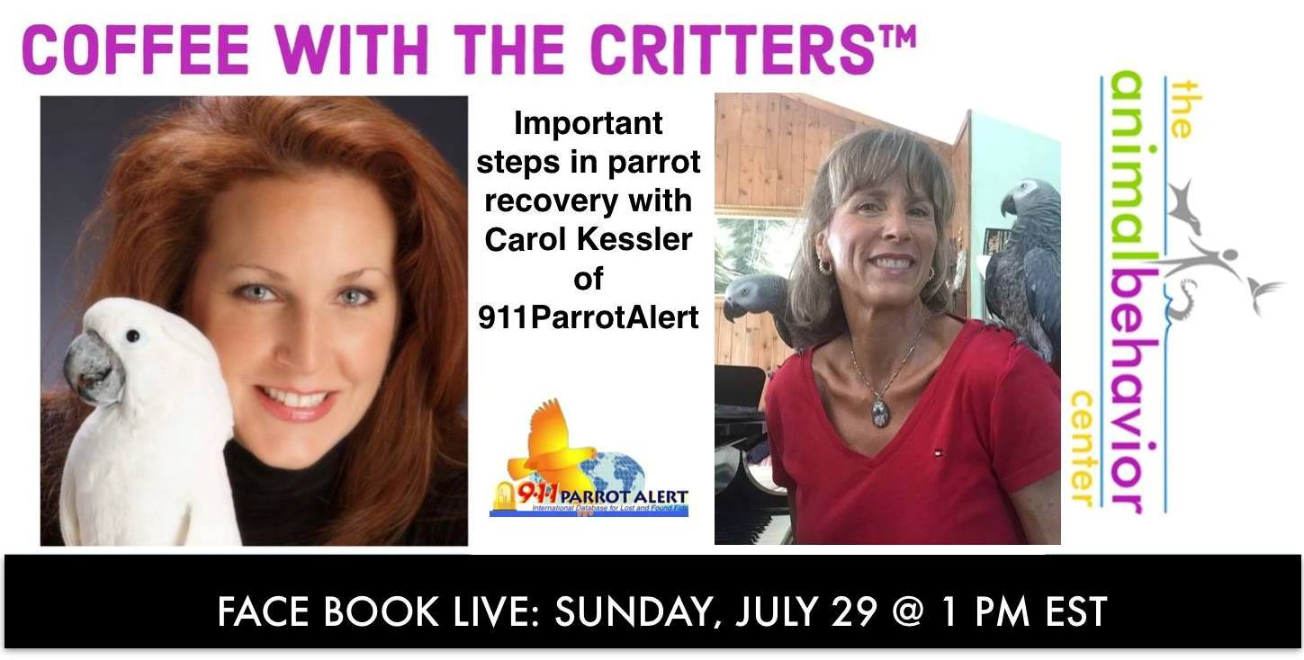 911 Parrot Alert's Resources for Lost & Found Parrots: Lost Bird Protocol