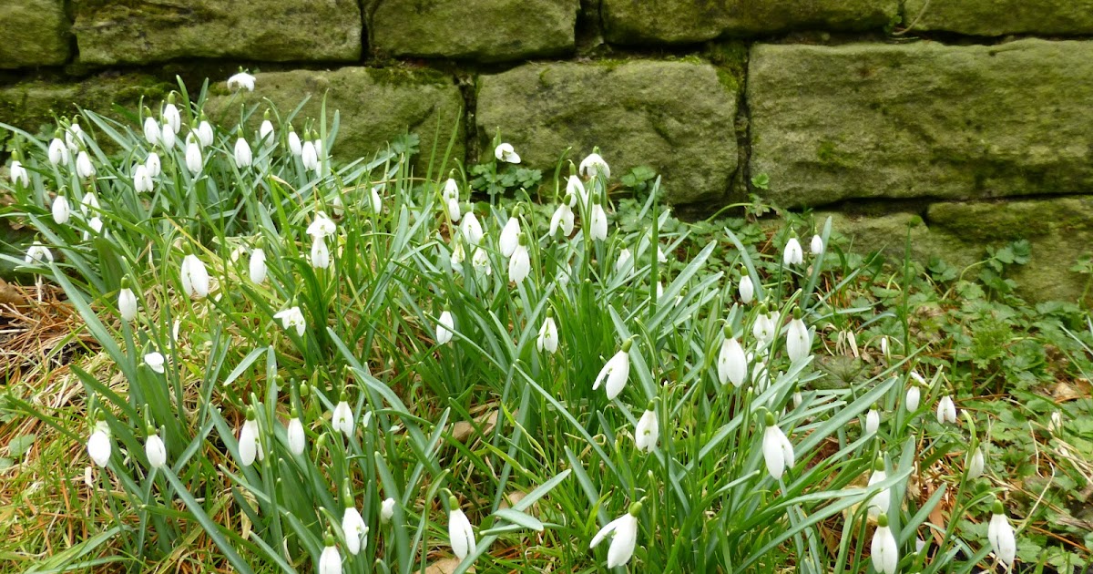 Canon Rawnsley's February at the Lakes