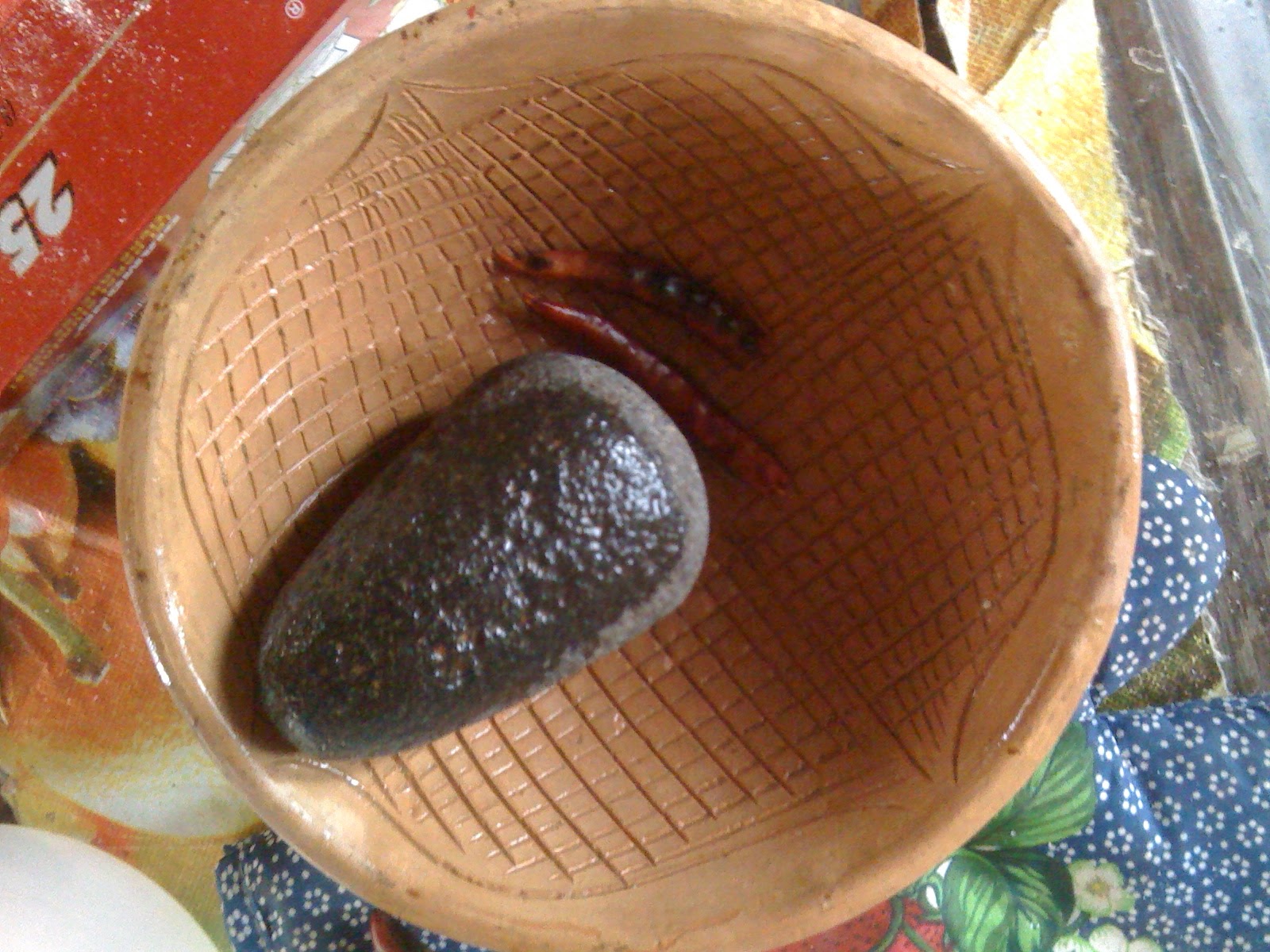 Instrucciones para comer chicatanas