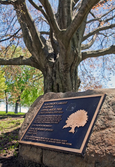 Quest4Treasure • View topic - verse 8