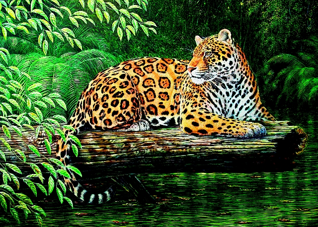 Pintores Costarricenses: Gerardo Valerio Trigueros