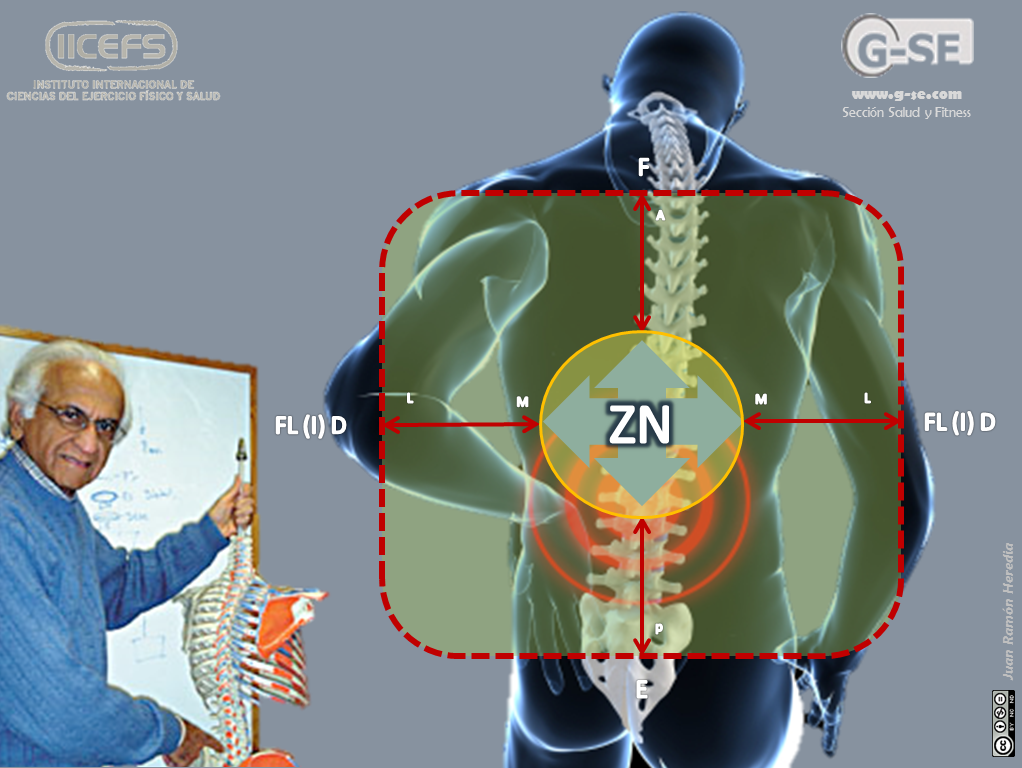 Estabilidad raquídea: El concepto de zona neutra en su aplicación a los ...
