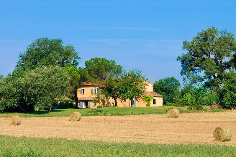 Tales of an Italian in the Southwest: Agritourism and my Passion for ...