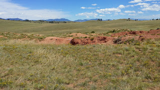 Rockhounding in the USA: Bountiful Bladed Blue Barite Bonanza!