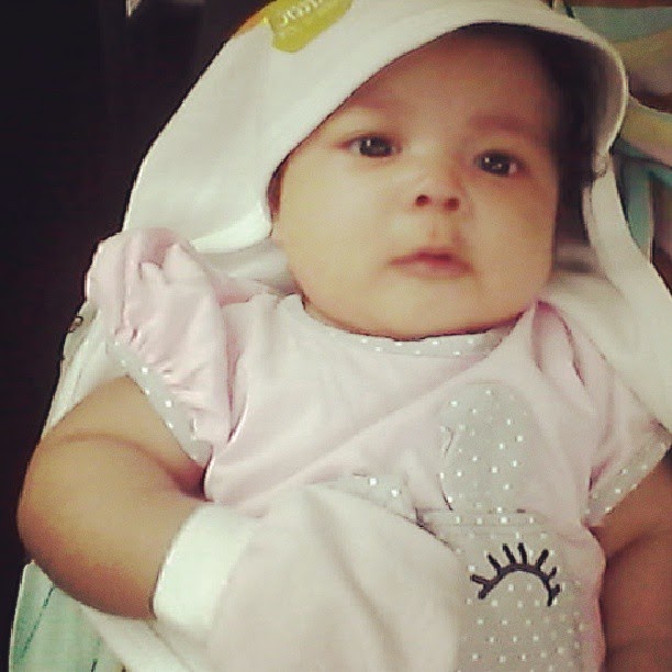 Lynkin Blog Viva Merah