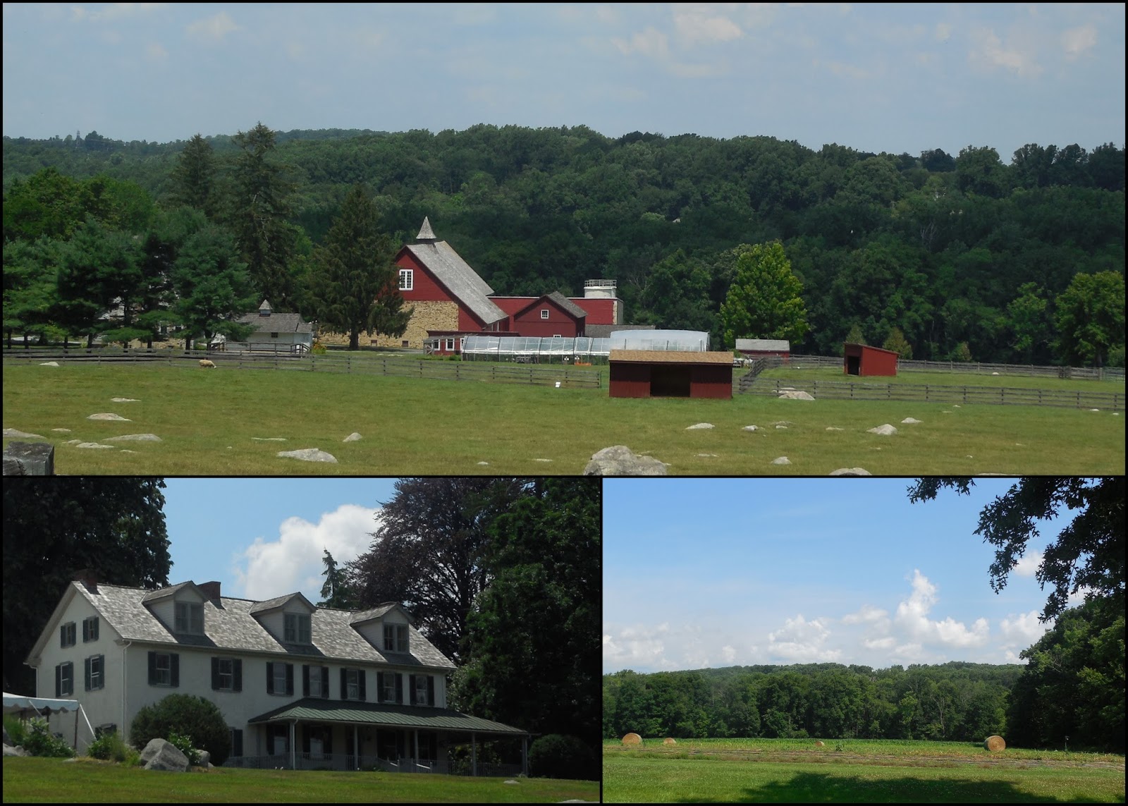 Springton Manor Farm