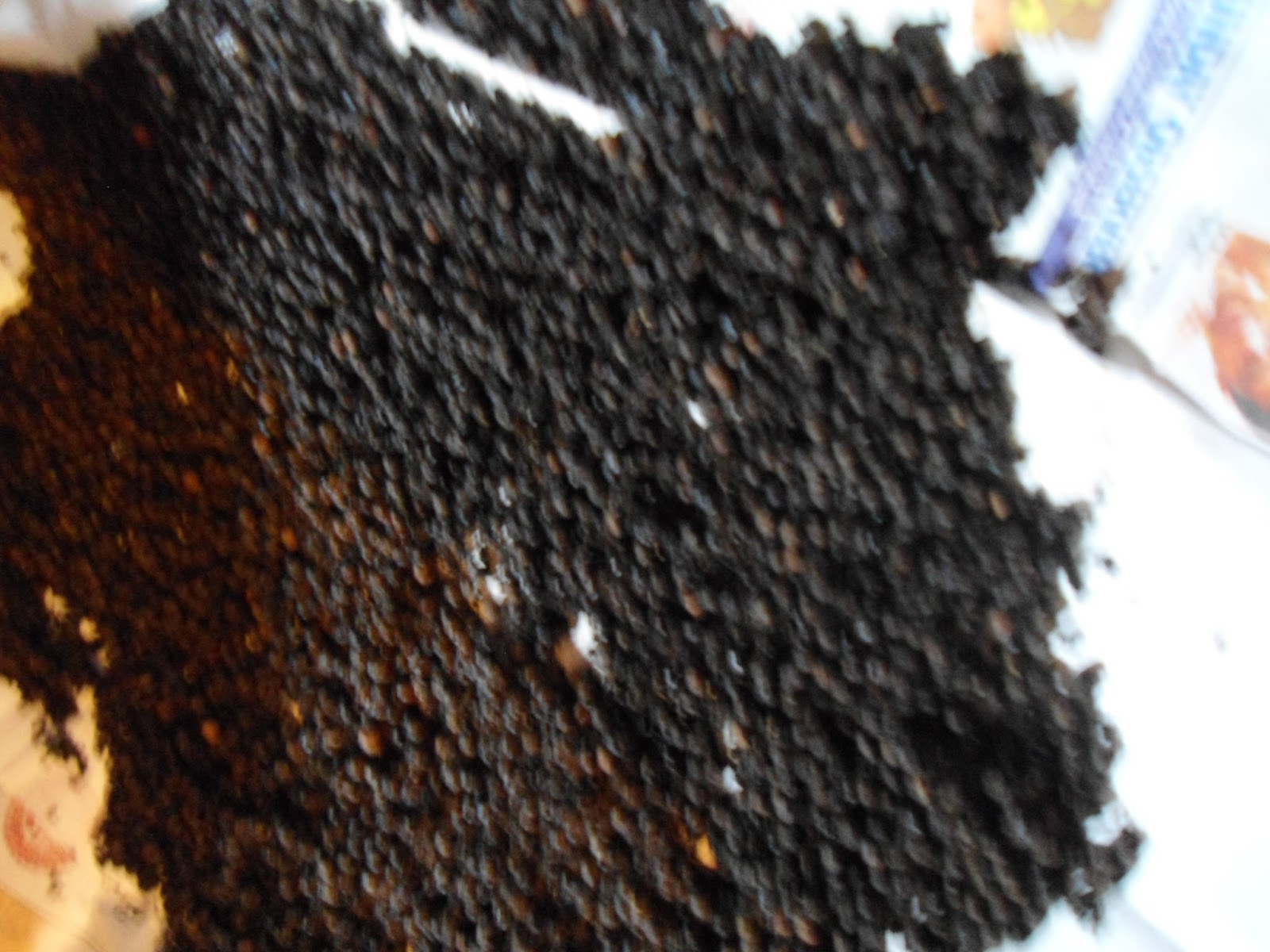 Kamatha: "Kamatha" at Rockhill Kegalle