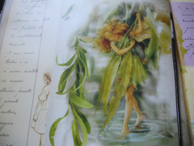 Soloillustratori: Come ho conosciuto le fate dei fiori