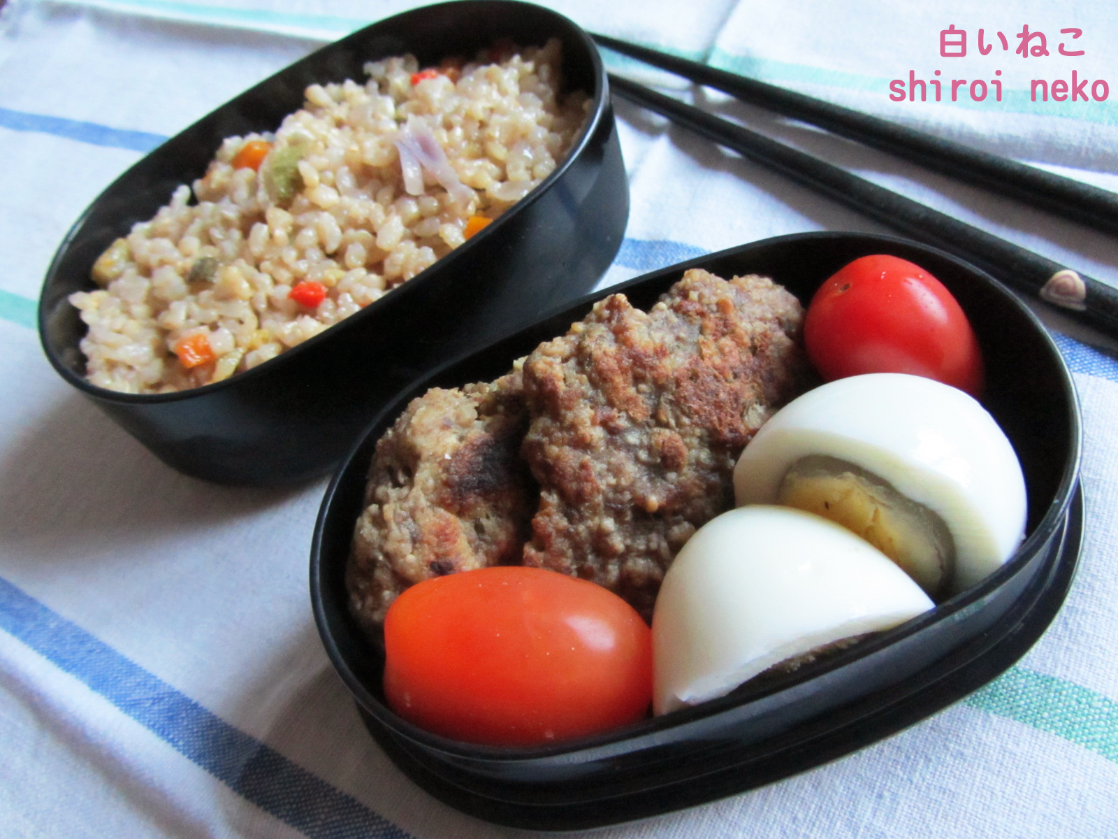 shiroi neko: Obento nº5