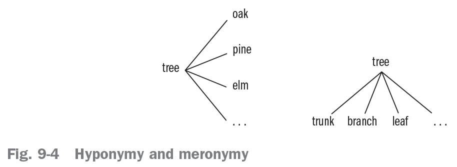 Systemic Functional Linguistics: Hyponymy vs Meronymy