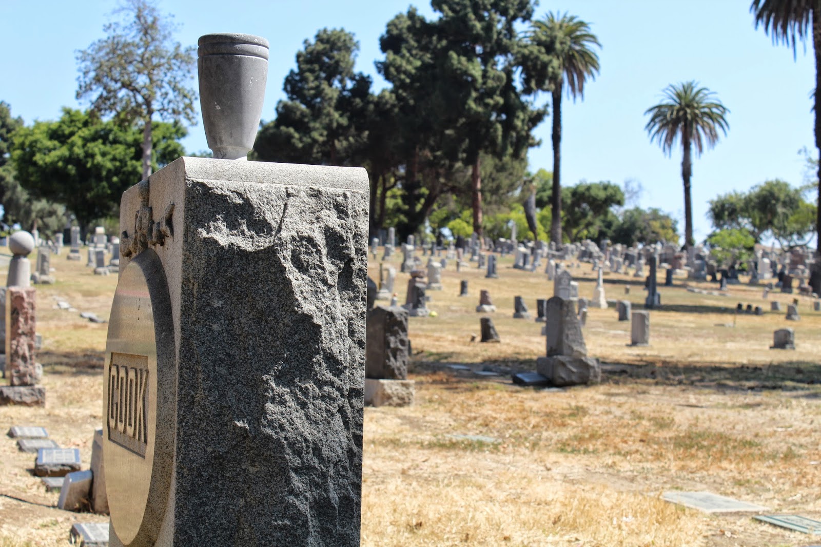 Set-Jetter & Movie Locations and More: Predator 2 (1990)