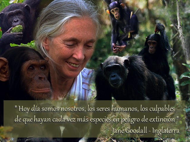 Mujeres Famosas: JANE GOODALL - INGLATERRA