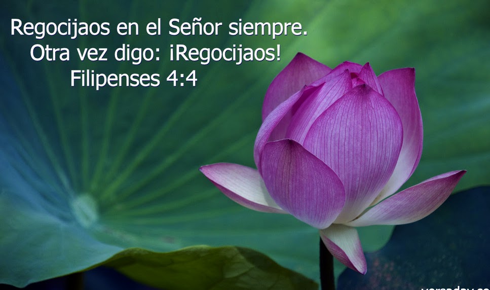 B. NUEVO TESTAMENTO: PASTOR JOSE LUIS DEJOY: : Vida con Regocijo ...