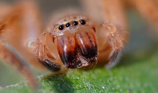 Back of Beyond The NT: Wet Season Turning To Dry Season II