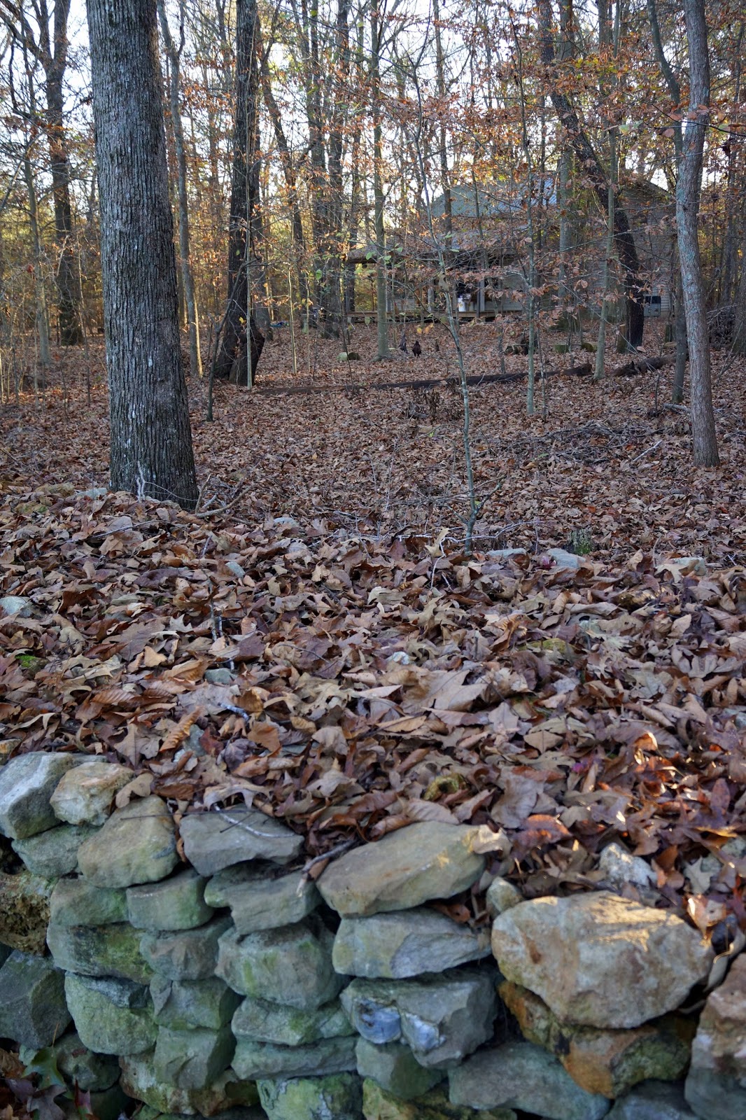 Dancing 'Cross the Country: Alabama Shoals, Part Two: Florence